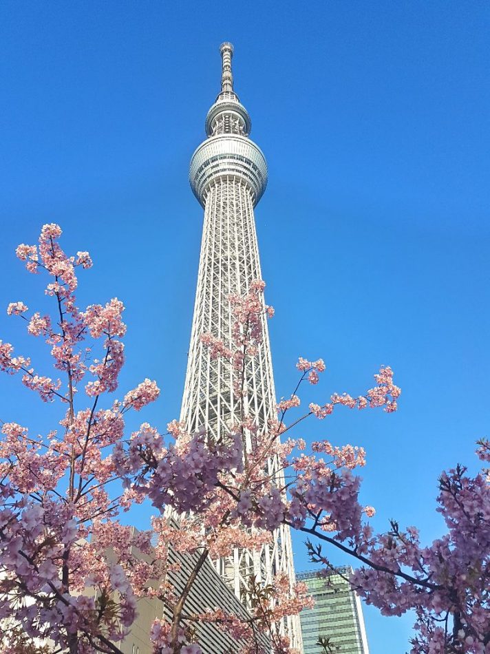 Is it worth going to Tokyo Tower? - Pinpoint Traveler