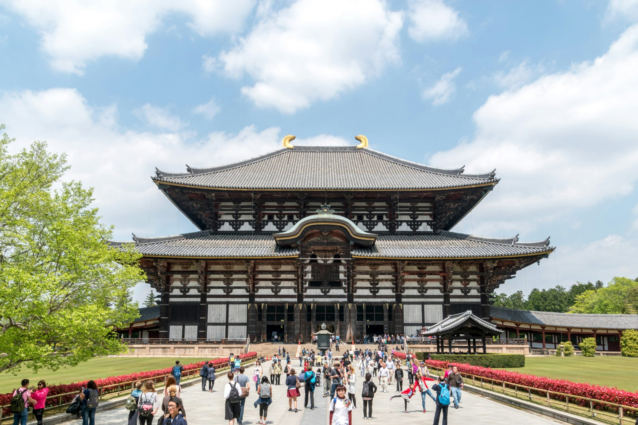 Unique Nara Tours in English with Locals | Pinpoint Traveler